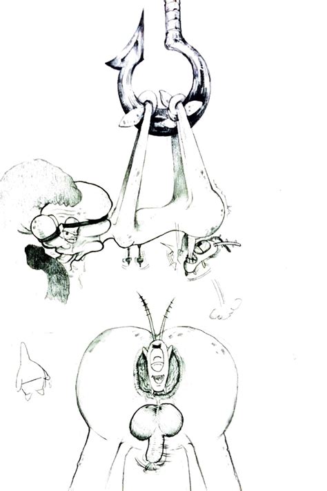 Rule 34 2021 Absurd Res Anal Antennae Anatomy Anthro Anus Arthropod Ass Asterozoan Balls