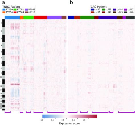 Heatmap Visualizing Inferred Cnv Results Obtained Using Copykat [10