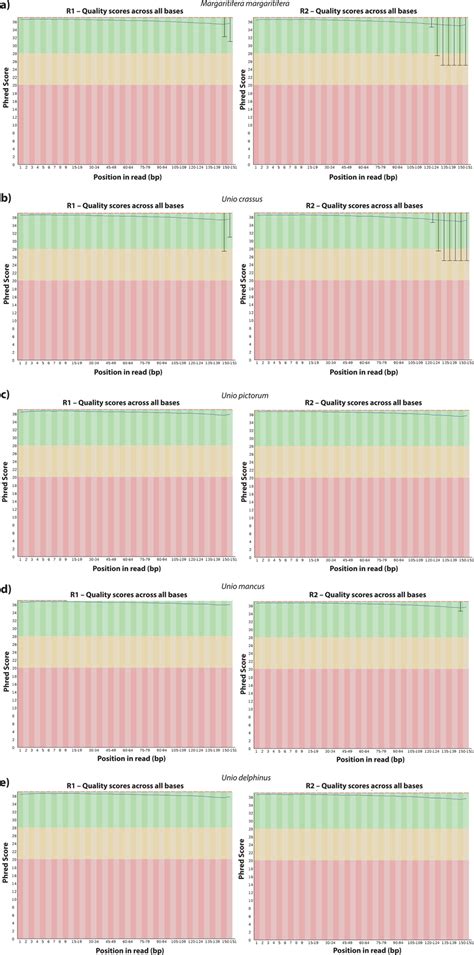 Bioinformatics Pipeline Applied For The Transcriptome Assembly And Download Scientific Diagram