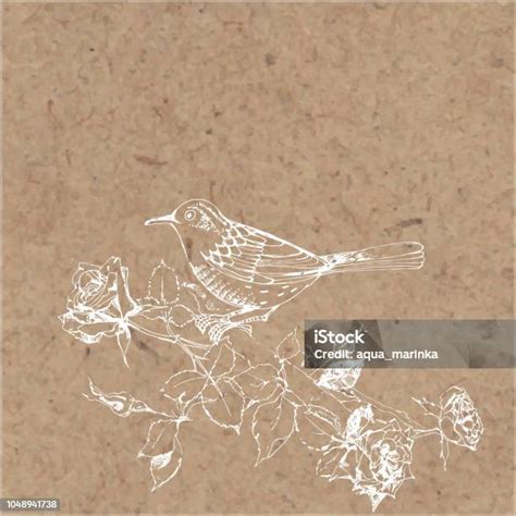 크 라프 트 지에 장미 꽃에 새 텍스트에 대 한 장소를 가진 손으로 그린 벡터 일러스트 밑그림입니다 인사말 카드 초대장 또는 디자인에 대 한 격리 된 요소 0명에 대한 스톡