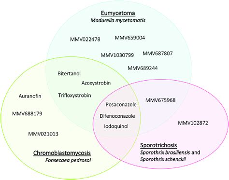 Hit Compounds From The Pathogen Box Showing Growth Inhibitory Against