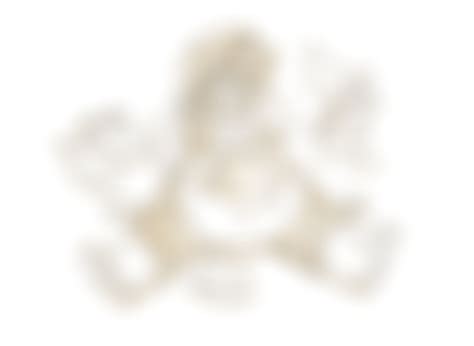 Desja Cherubi Vore Unmark By Shadowsirenmoon On Deviantart