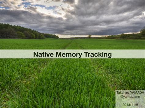 native memory tracking pdf