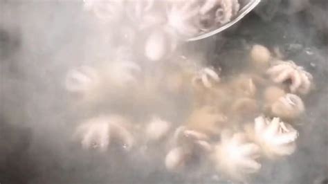 用张雨绮剪过的八爪鱼，做个 麻辣八爪鱼”，从40年老厨师那里学来的，麻辣鲜香超好吃 哔哩哔哩