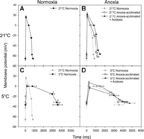 Graphical Representation Of Ventricular Action Potentials From 21°c