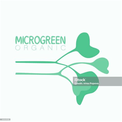 무 콩나물 마이크로 그린의 생산을위한 로고 집에서 마이크로 빌리지 벡터 격리 아이콘입니다 발아 씨앗 녹색 잔디 0명에 대한 스톡 벡터 아트 및 기타 이미지 Istock