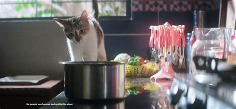 Bikram Sahoo Posted On Linkedin