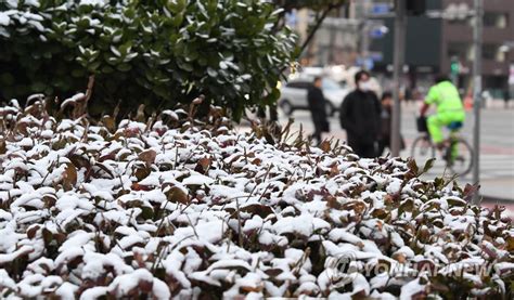 밤사이 내린 눈 미끄러운 길 조심하세요 연합뉴스