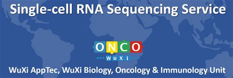 Single Cell RNA Sequencing Services WuXi Biology