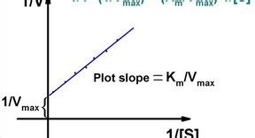 How To Calculate Km Sciencing