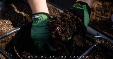 Vermicomposting Made Easy In Bed Worm Composting Growing In The Garden