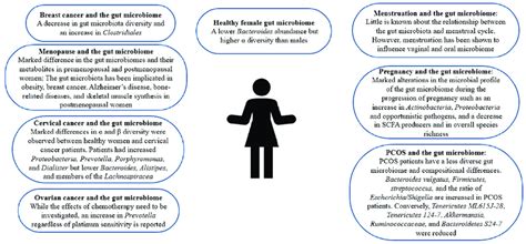 The Role Of Gut Microbiome In Female Health Download Scientific Diagram