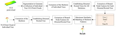 Forests Free Full Text An Automated Pipeline For Extracting Forest