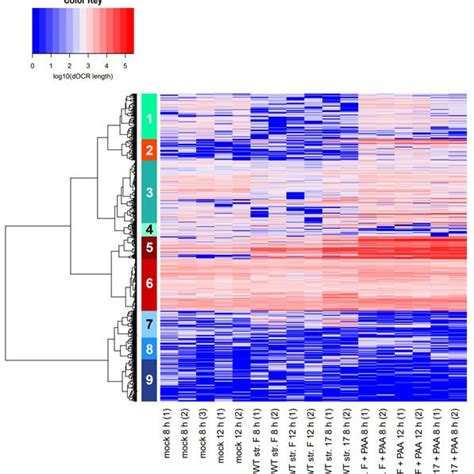 Hierarchical Clustering Analysis Of Cellular Genes Based On Atac Seq