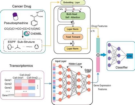 Transformer Architecture Redefining Machine Learning Across Nlp And Beyond