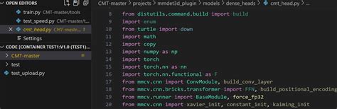 Python Code Without Highlight When Using Docker Container In Vscode