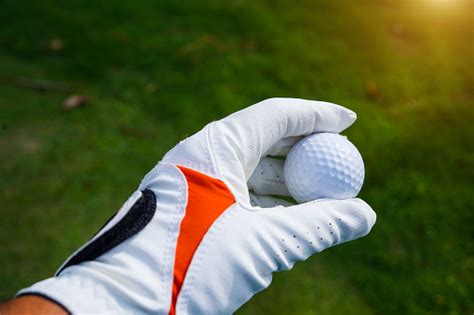 녹색 배경에 흰색 골프 공을 들고 손으로 골프 장갑을 착용 제목과 텍스트를위한 큰 복사 공간 골프공에 대한 스톡 사진 및 기타 이미지 Istock