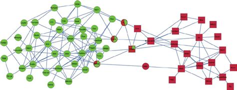Two Communities Detected By Our Approach On Dolphins Network Here Download Scientific Diagram