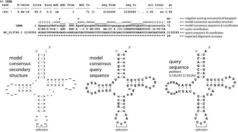 genome annotation — rfam help documentation