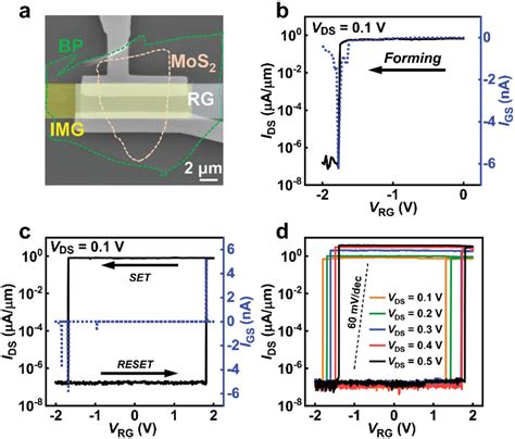 Ultra‐steep‐slope High‐gain Mos2 Transistors With Atomic Threshold‐switching Gate Lin 2022