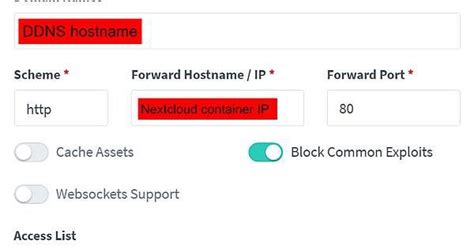 Rtmp And Reverse Proxy Manager Rnginxproxymanager