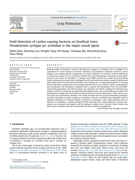 Pdf Field Detection Of Canker Causing Bacteria On Kiwifruit Trees Pseudomonas Syringae Pv