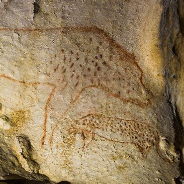 Panther Panel The Chauvet Pont Darc Cave
