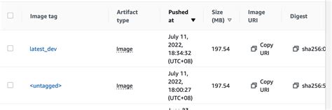 Bitbucket Pipelines When Tagging And Pushing Docker Image To Aws Ecr