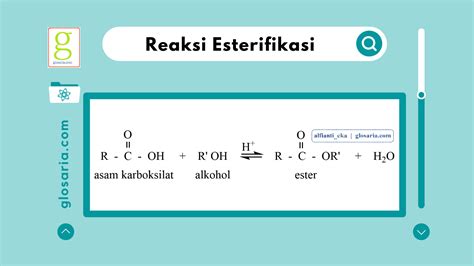 Mekanisme Reaksi Esterifikasi Dan Contohnya