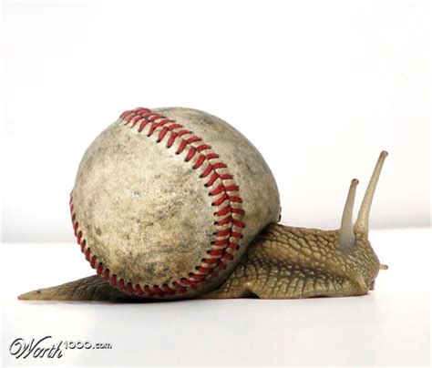 Slowing The Game Down Be A Better Hitter