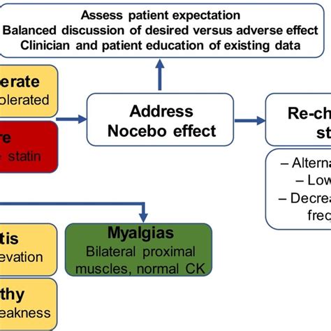 Proposed Algorithm For Evaluation And Management Of Statin Associated