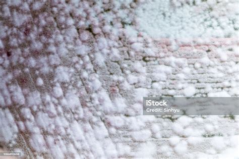 배경 특성 및 다른 식민지의 박테리아와 곰 팡이 성장 하는 한 천 배지 미생물학 실험실에서 교육에 대 한 토양 샘플에서에 형성 페트리 접시에 대한 스톡 사진 및 기타 이미지