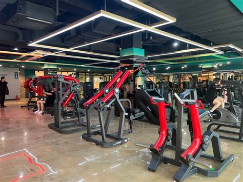 공도헬스장 핏플러스 헬스andpt 공도진사리점 새해 운동은 여기서 하세요 네이버 블로그