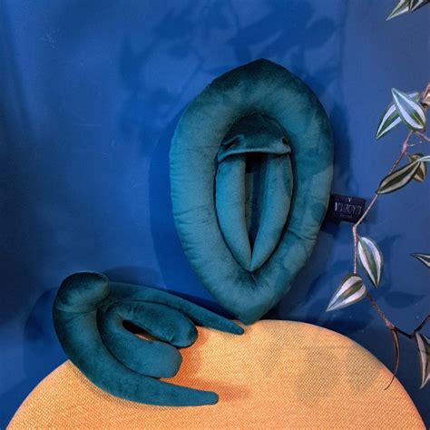 Vulva Pillows Set Vulva Anatomy Teaching Set Clitoris And Vulva