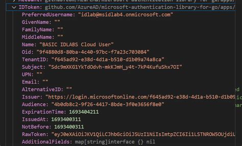 Additionalfields Empty In Idtoken · Issue 436 · Azureadmicrosoft Authentication Library For Go