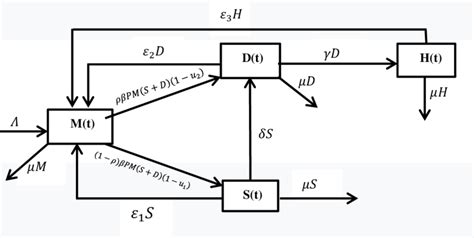 1 Compartment Diagram For Divorce Dynamics Mathematical Model Download Scientific Diagram