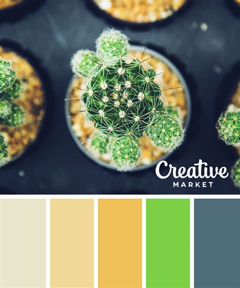 Fresh Color Palettes For Spring Creative Market Blog