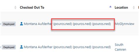 Display Bug With Username In Asset Listings · Issue 12430 · Snipesnipe It · Github