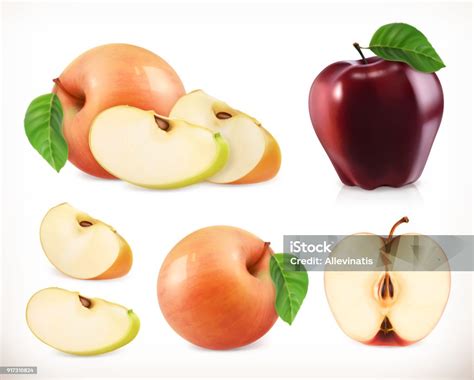 애플입니다 전체 고 조각입니다 달콤한 과일입니다 3 차원 벡터 아이콘 세트입니다 현실적인 그림 사과에 대한 스톡 벡터 아트 및 기타 이미지 Istock