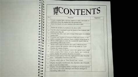 Cbse Class 12 Ip Information Practices Practical File How To Make Attractive Ip Project