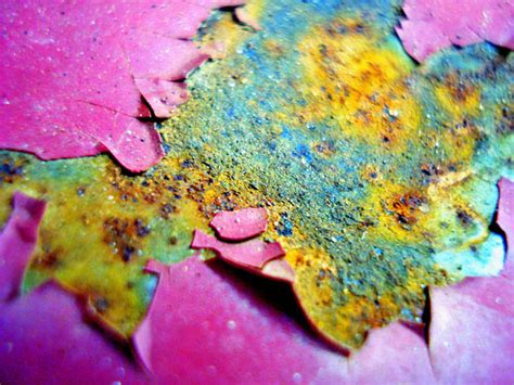 Over Of The Web S Best Rust Textures Envato Tuts Over Of The Web S Best Rust Textures Envato Tuts