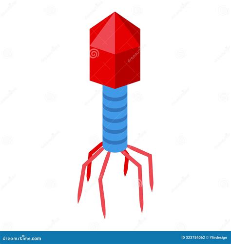Simplified Bacteriophage Virus Model Showing Components Stock Illustration Illustration Of