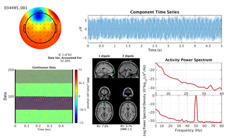 Sccn Independent Component Labeling