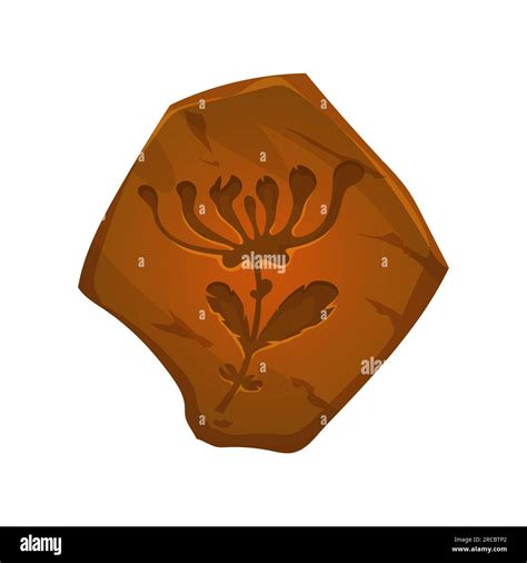 Fossil Impression Stock Vector Images Alamy