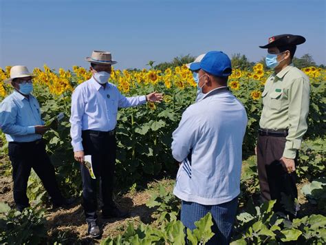 ဧရာဝတီတိုင်းဒေသကြီးအစိုးရအဖွဲ့ ဝန်ကြီးချုပ် ဦးတင်မောင်ဝင်းနှင့် အဖွဲ့ဝင