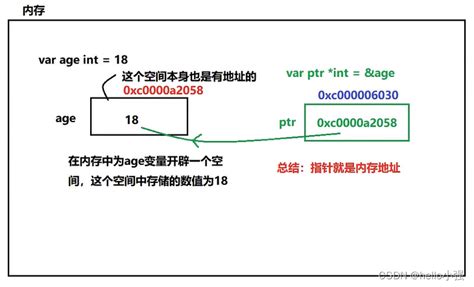 go语言笔记3 指针 go语言的指针地址 指针变量 csdn博客