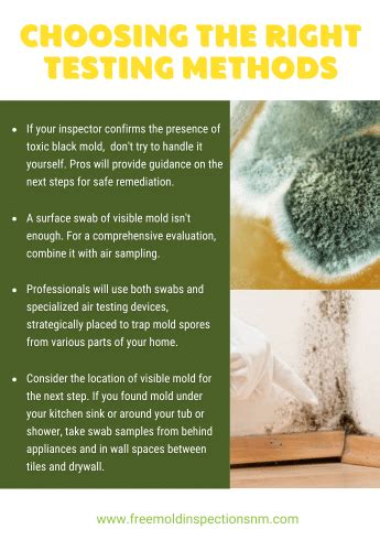 What To Know About Mold Testing In Your Home In 2024 Free Mold Inspections New Mexico