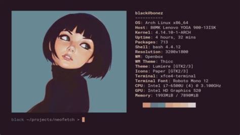 pfetch、screenfetch、neofetch 和 fastfetch：有用的 cli 工具