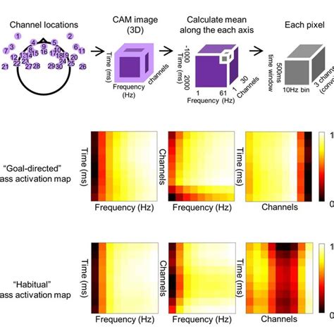 2 D Cnn Class Activation Map Download Scientific Diagram