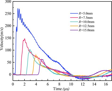 The Particle Velocity Histories In The Tamped Denotation Test